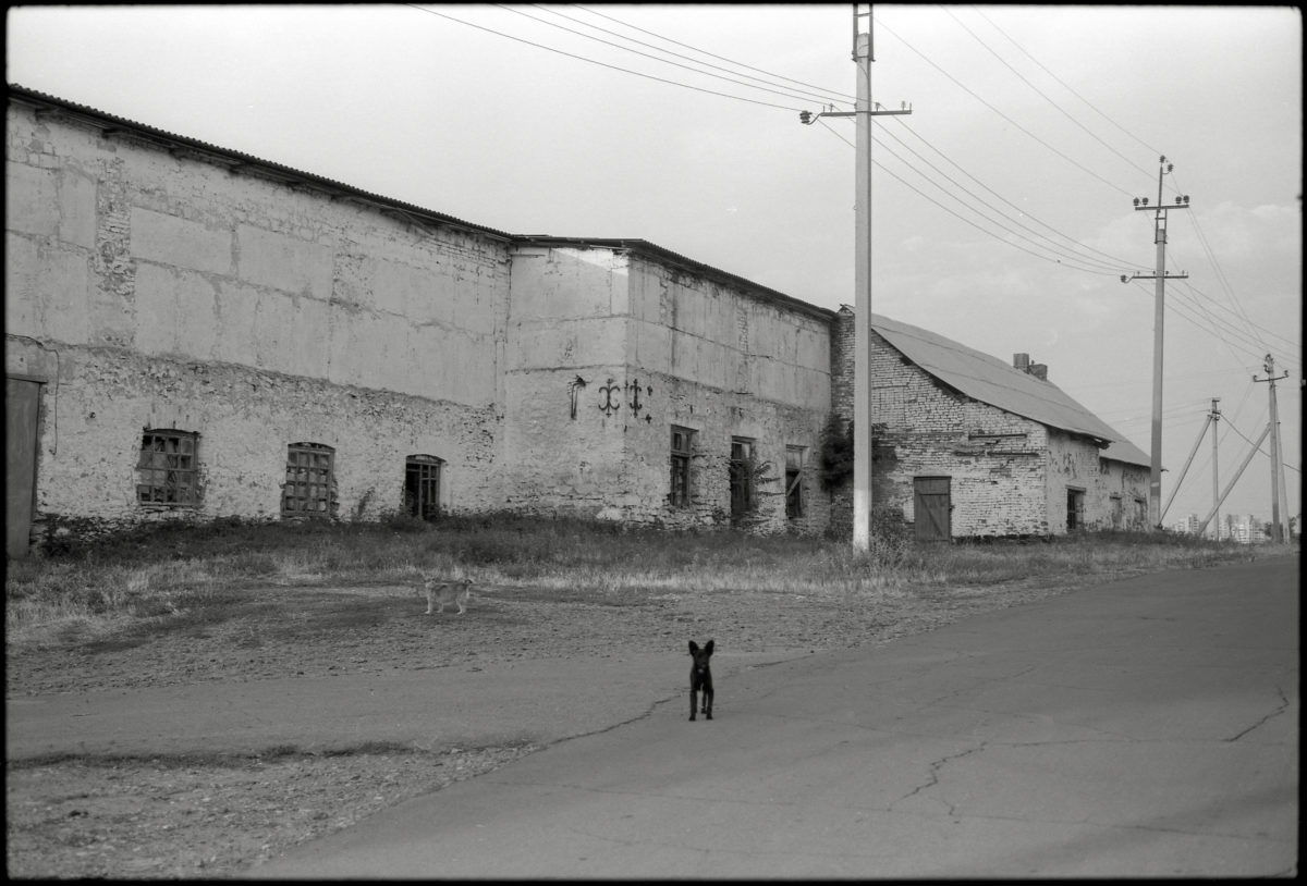 Lieux oubliés de l’Holocauste en Ukraine. Berezovka, Domaniekva ...